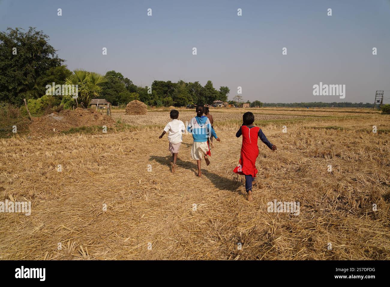 Children playing football on dried paddy fields in a Santal village of ...