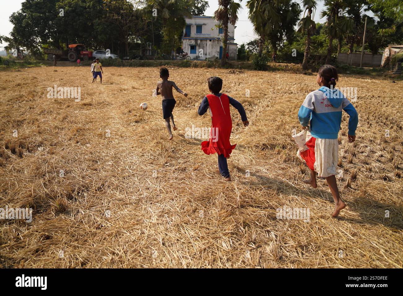 Children playing football on dried paddy fields in a Santal village of ...