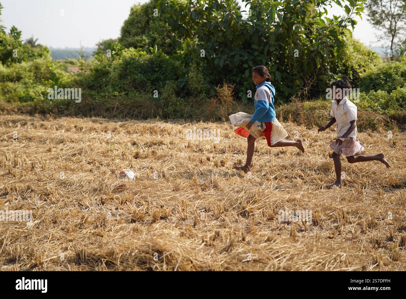 Children playing football on dried paddy fields in a Santal village of ...