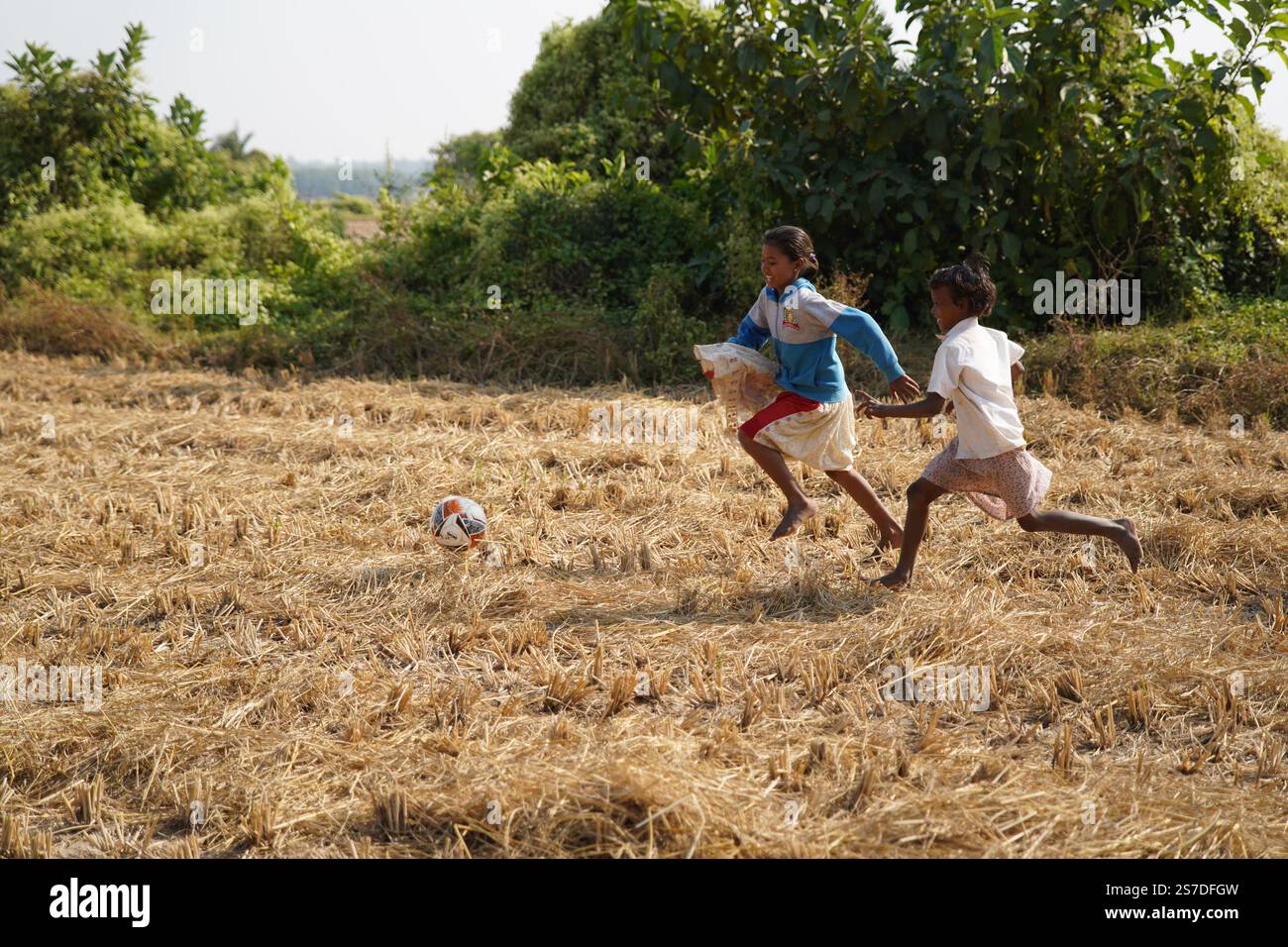 Children playing football on dried paddy fields in a Santal village of ...