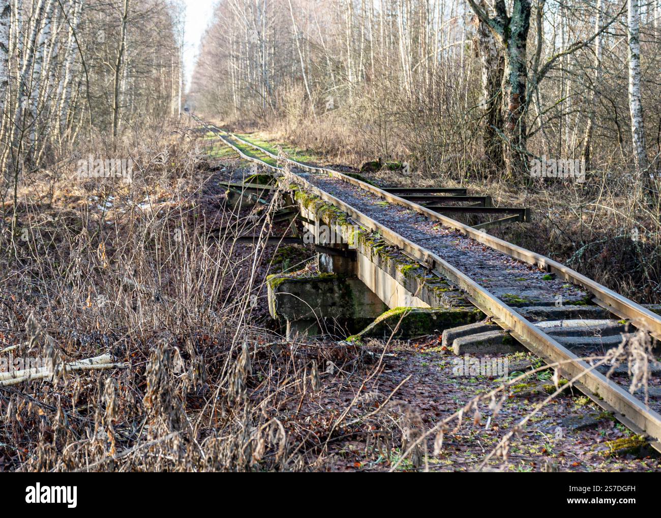 landscape with railway tracks, train tracks in a swamp, Sedas swamp ...