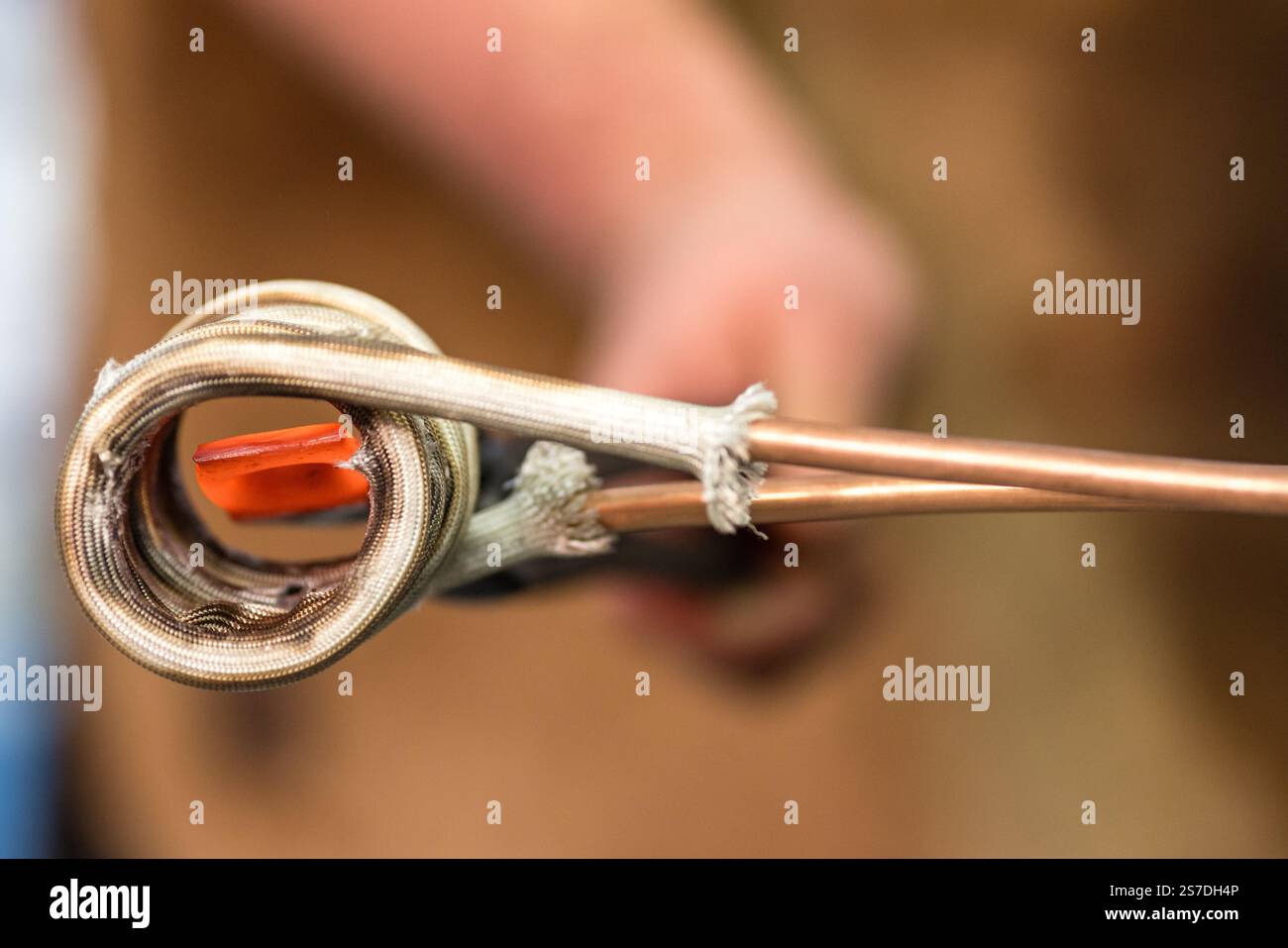 Cottbus, Germany. 19th Jan, 2025. An iron workpiece is made to glow in ...