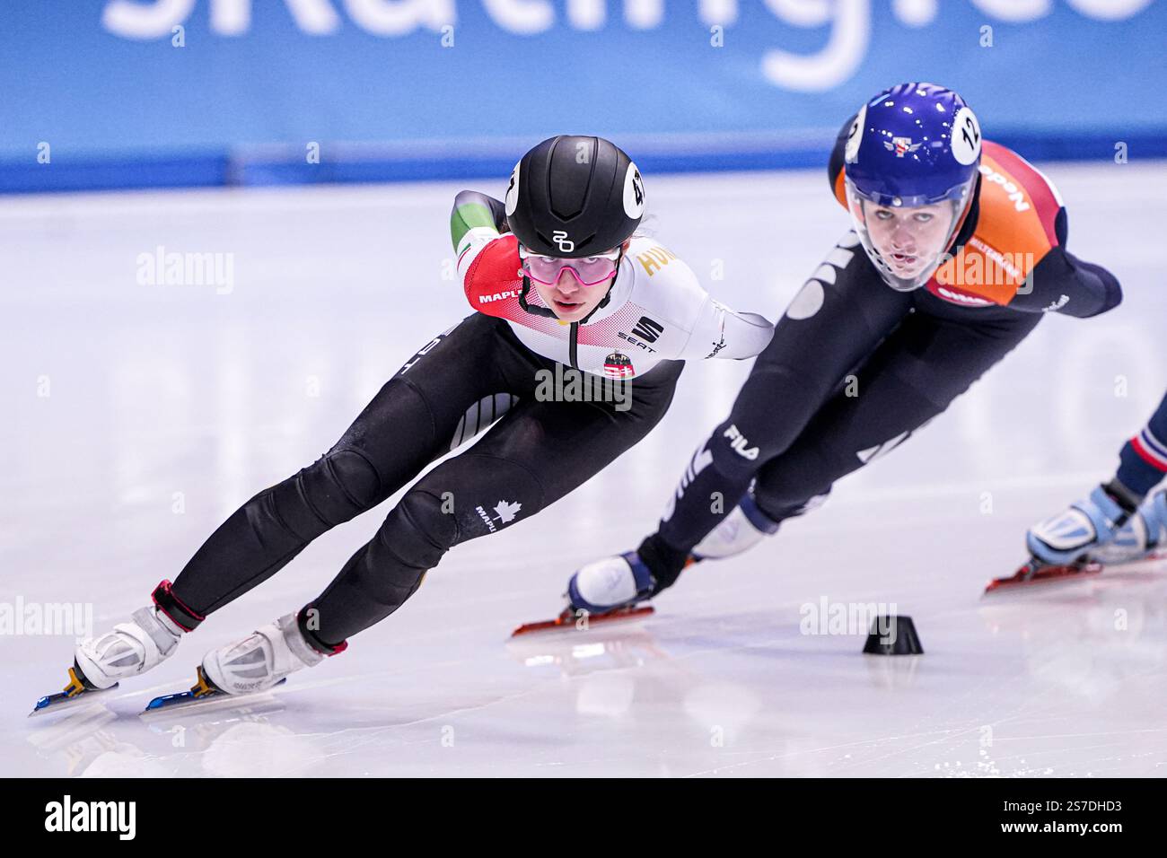 Dresden, Germany. 19th Jan, 2025. DRESDEN, GERMANY - JANUARY 19: Maja ...