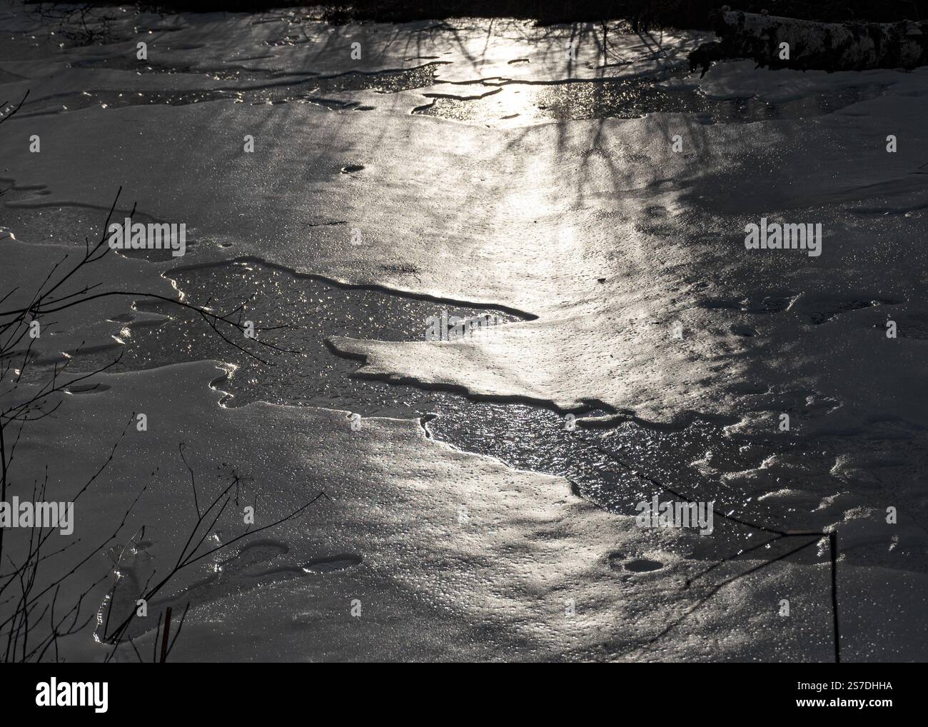 abstract frozen ice texture on muddy swamp road, winter Stock Photo - Alamy