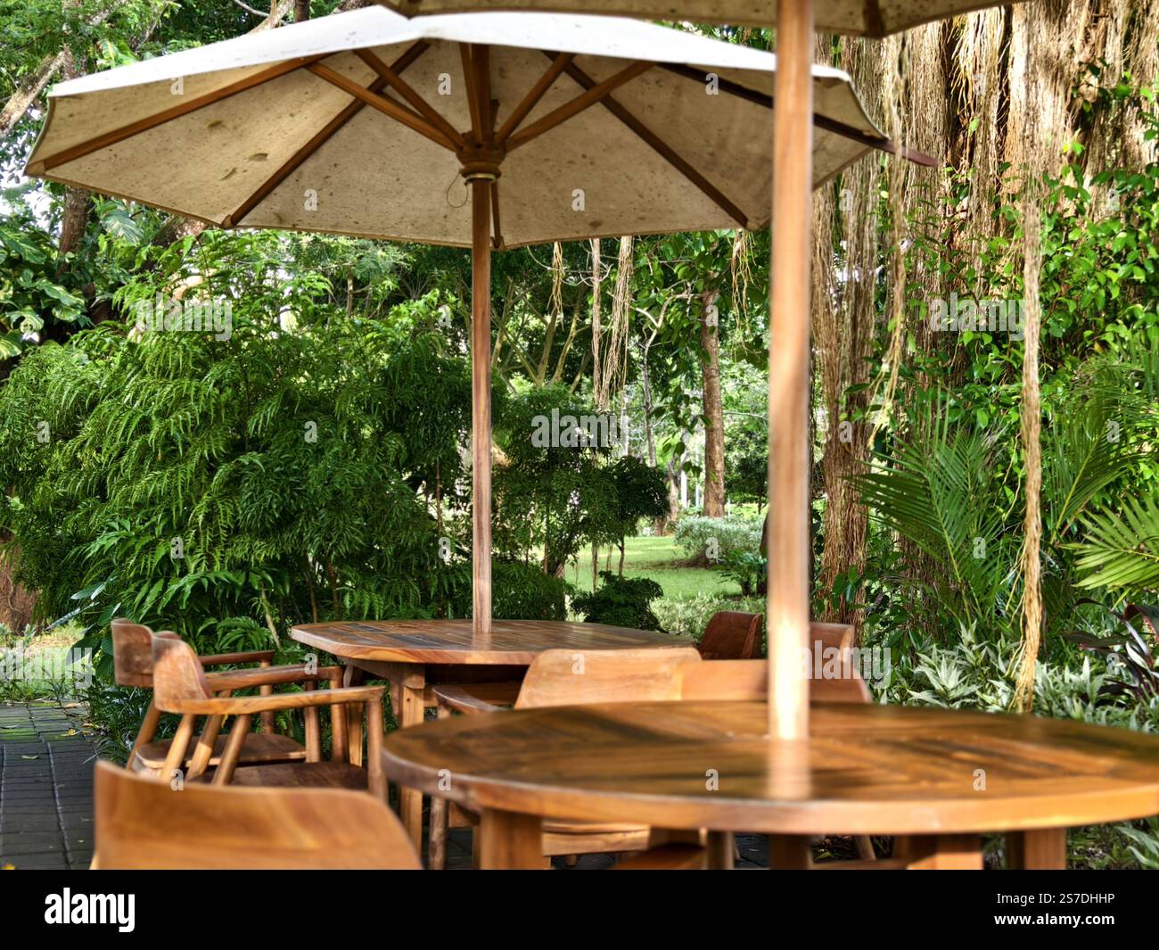 Wooden outdoor garden table and chairs with a large umbrella in a lush greenery Stock Photo - Alamy