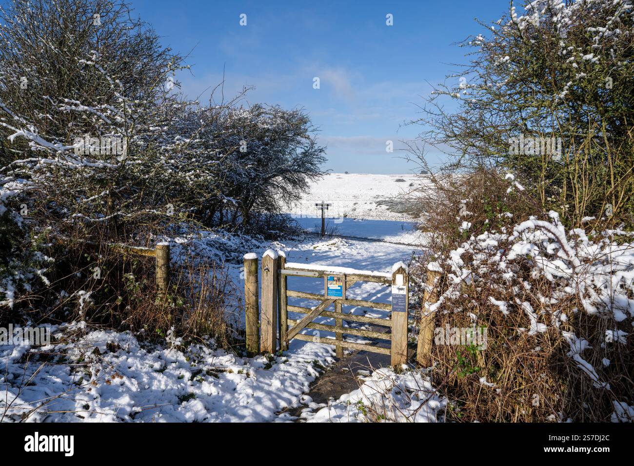 A gate leading onto the Devil's Dyke after snowfall on the South Downs ...