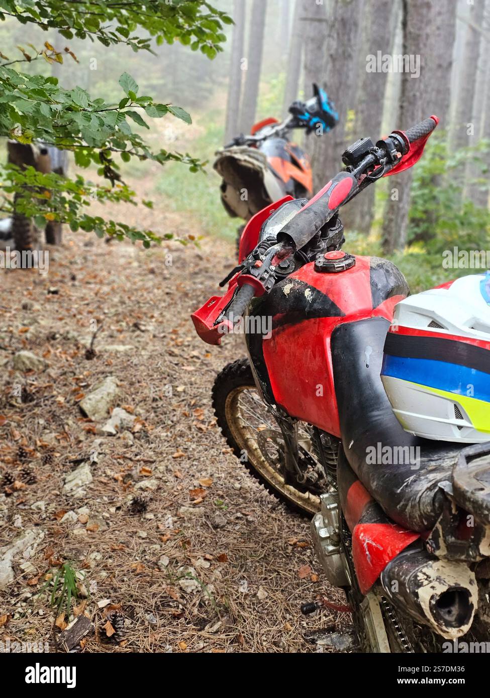 A group of adventurous bikers parked their motorcycles in the deep ...