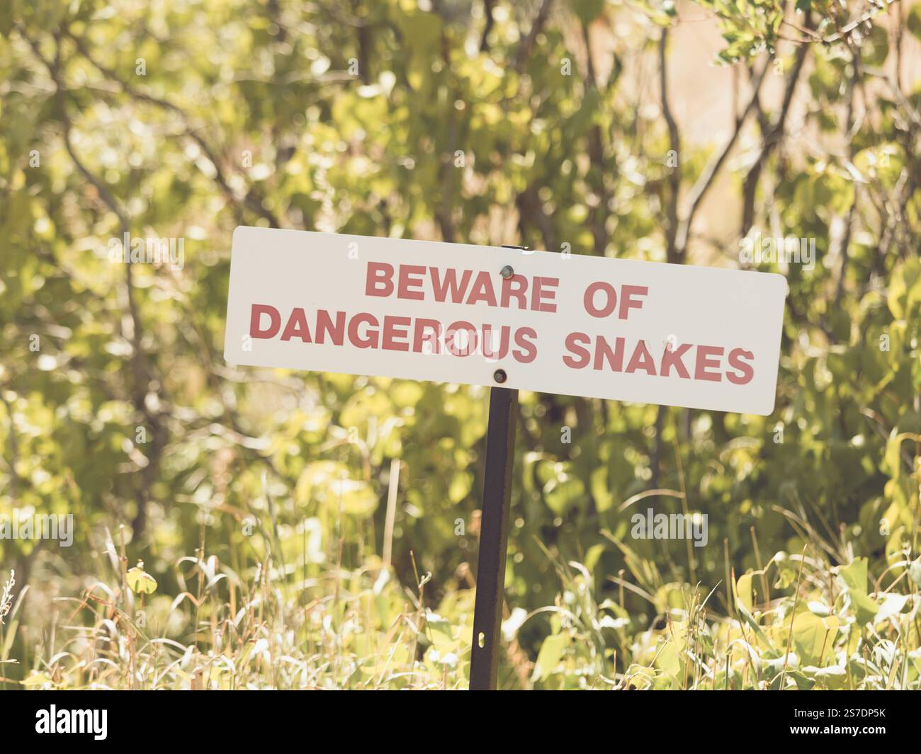 Beware of Dangerous Snakes Sign Stock Photo - Alamy