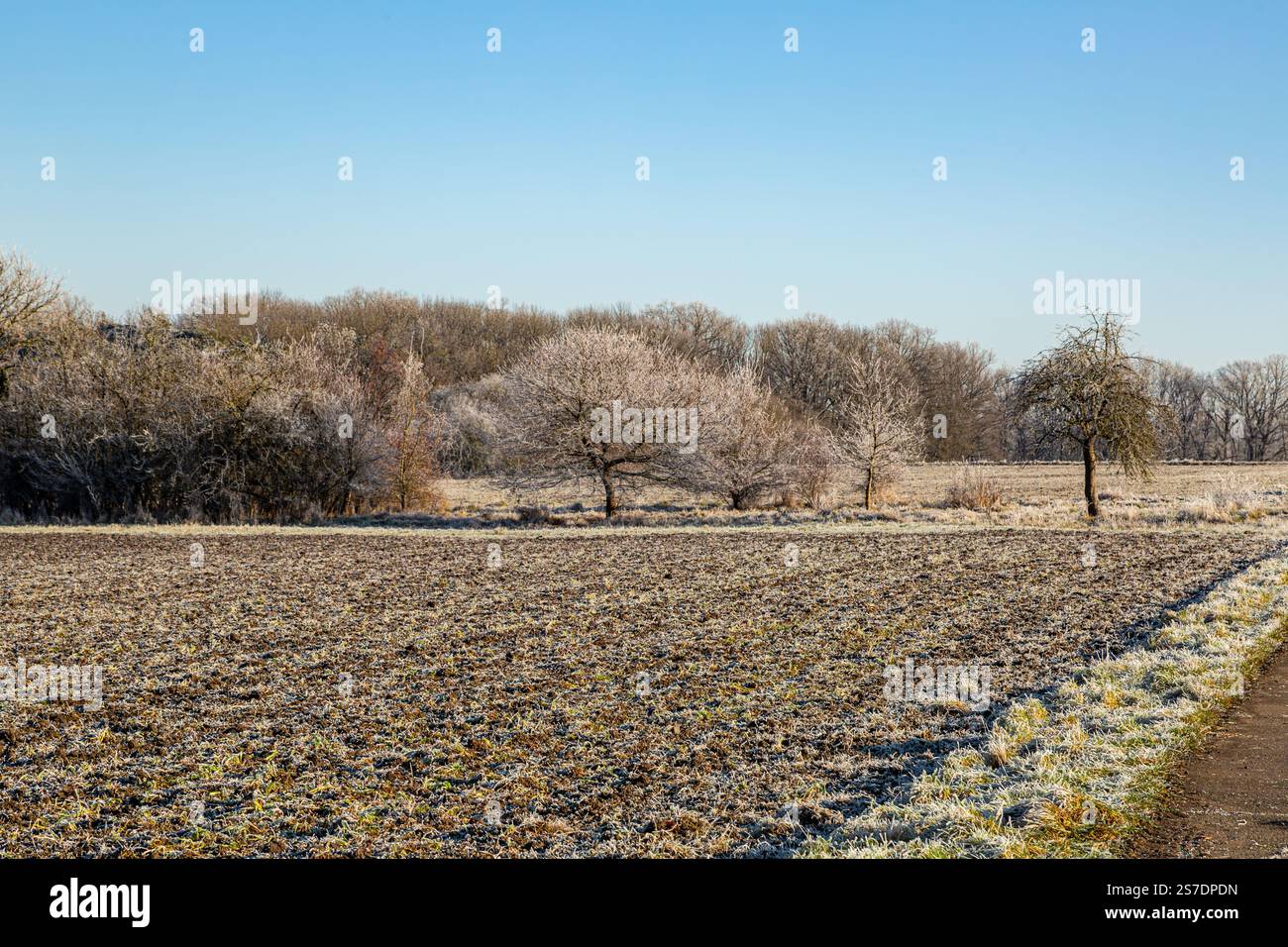 Landscape near Pohlheim in Germany on a cold winter day in 2025 Stock ...