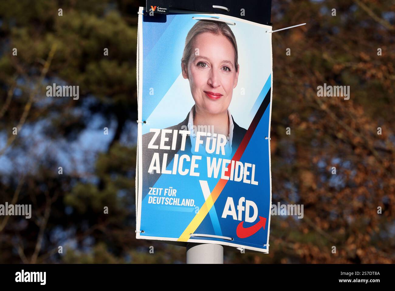Ein Wahlplakat zur Bundestagswahl von der AfD mit Kanzlerkandidatin ...