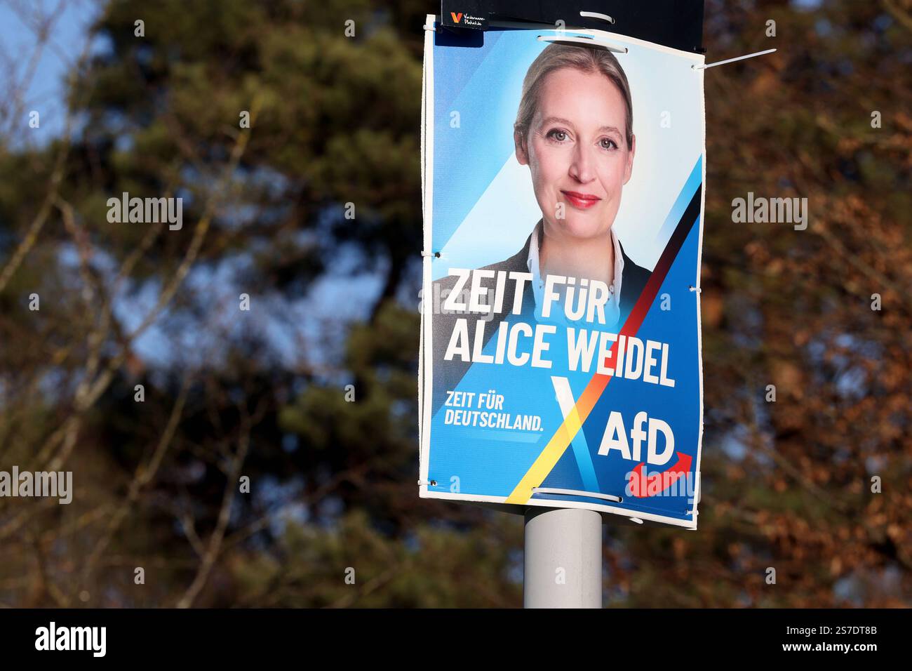 Ein Wahlplakat zur Bundestagswahl von der AfD mit Kanzlerkandidatin ...