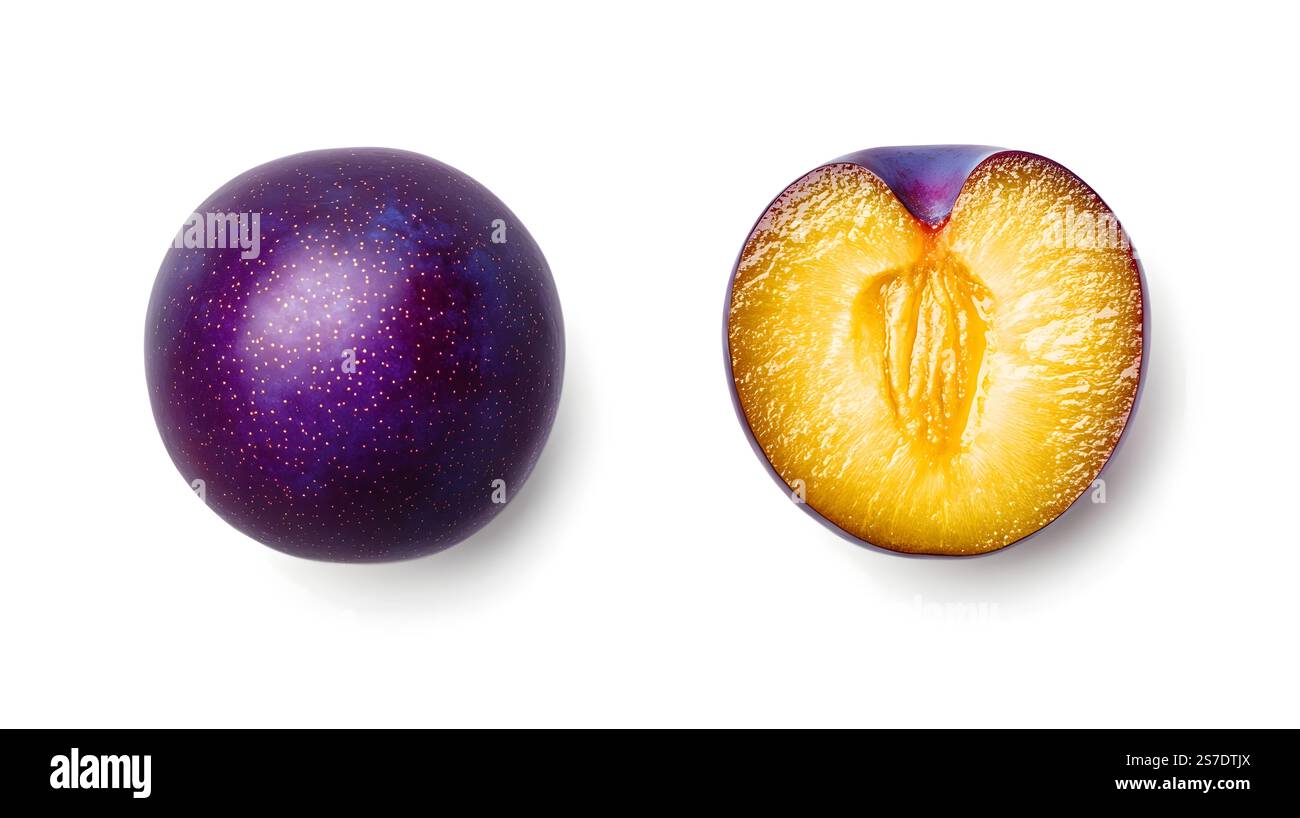 Closeup of a single glossy deep purple plum and a sliced cross-section ...