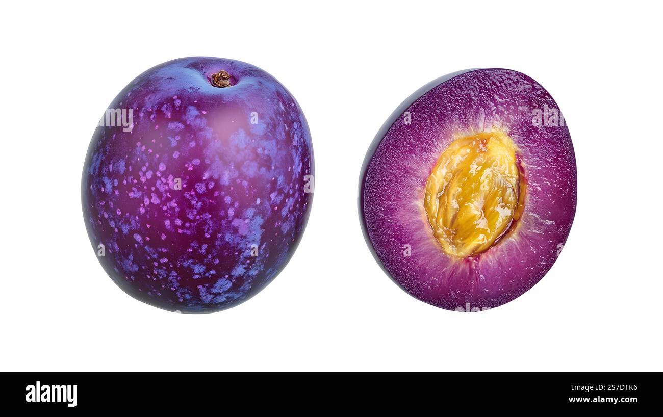 Close-up of a single plum with a glossy deep purple skin,next to a ...