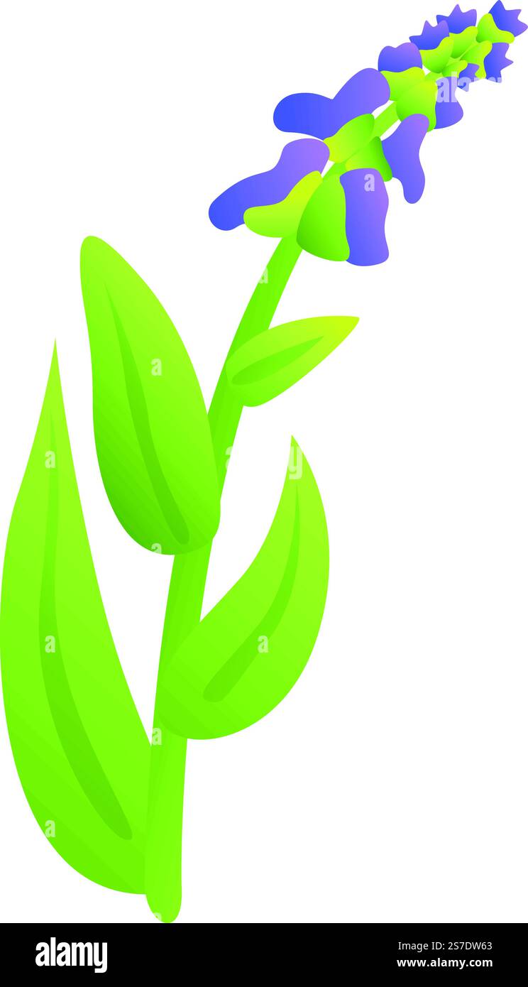 Aromatic herb icon cartoon vector. Sage plant. Flower basil. Aromatic ...