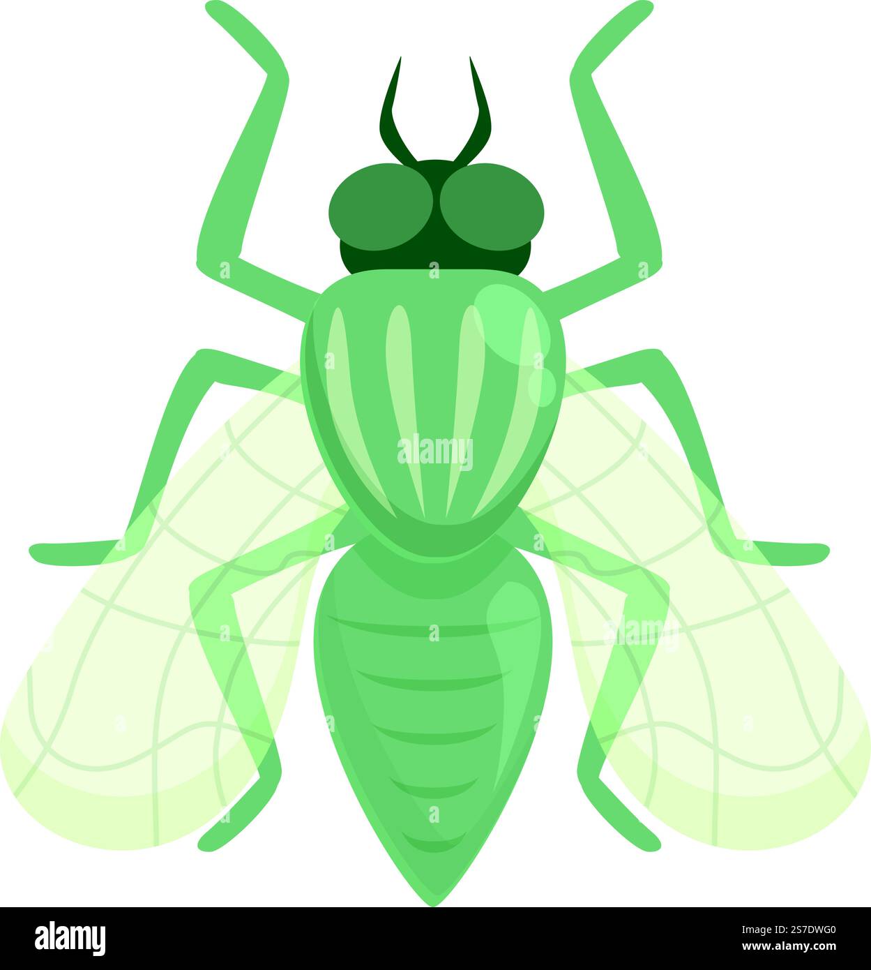Green tsetse fly icon cartoon vector. Africa insect. Nature tropical ...