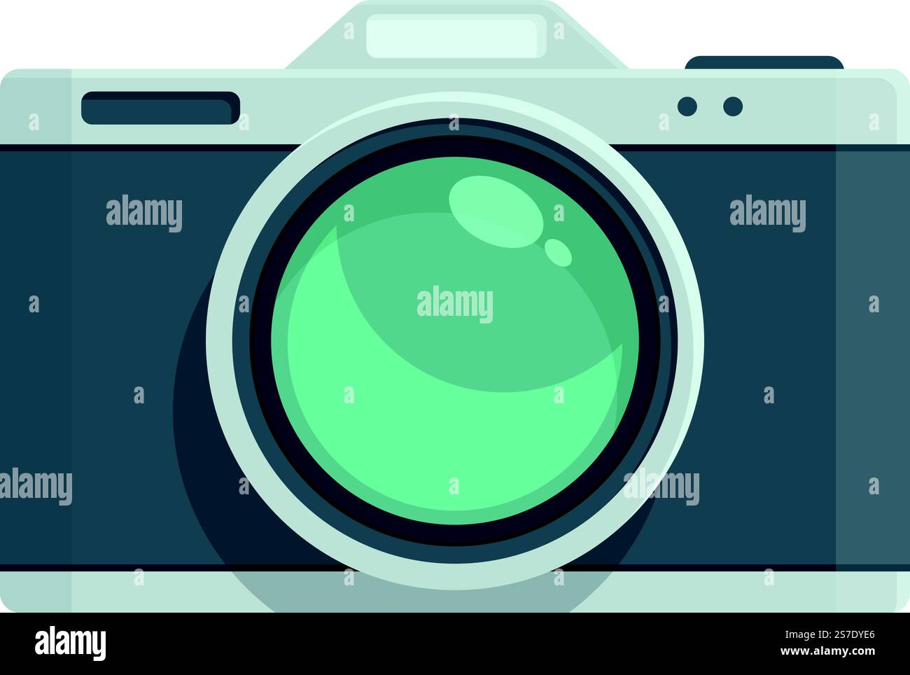 Camera icon cartoon vector. Digital photo. Flash picture. Camera icon ...