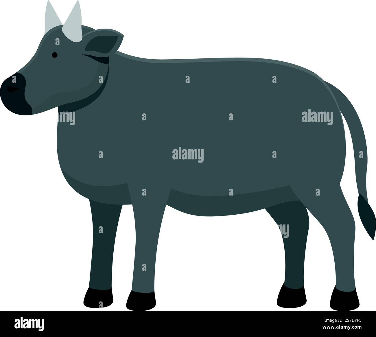 Simmental cattle and grey cattle Stock Vector Images - Alamy