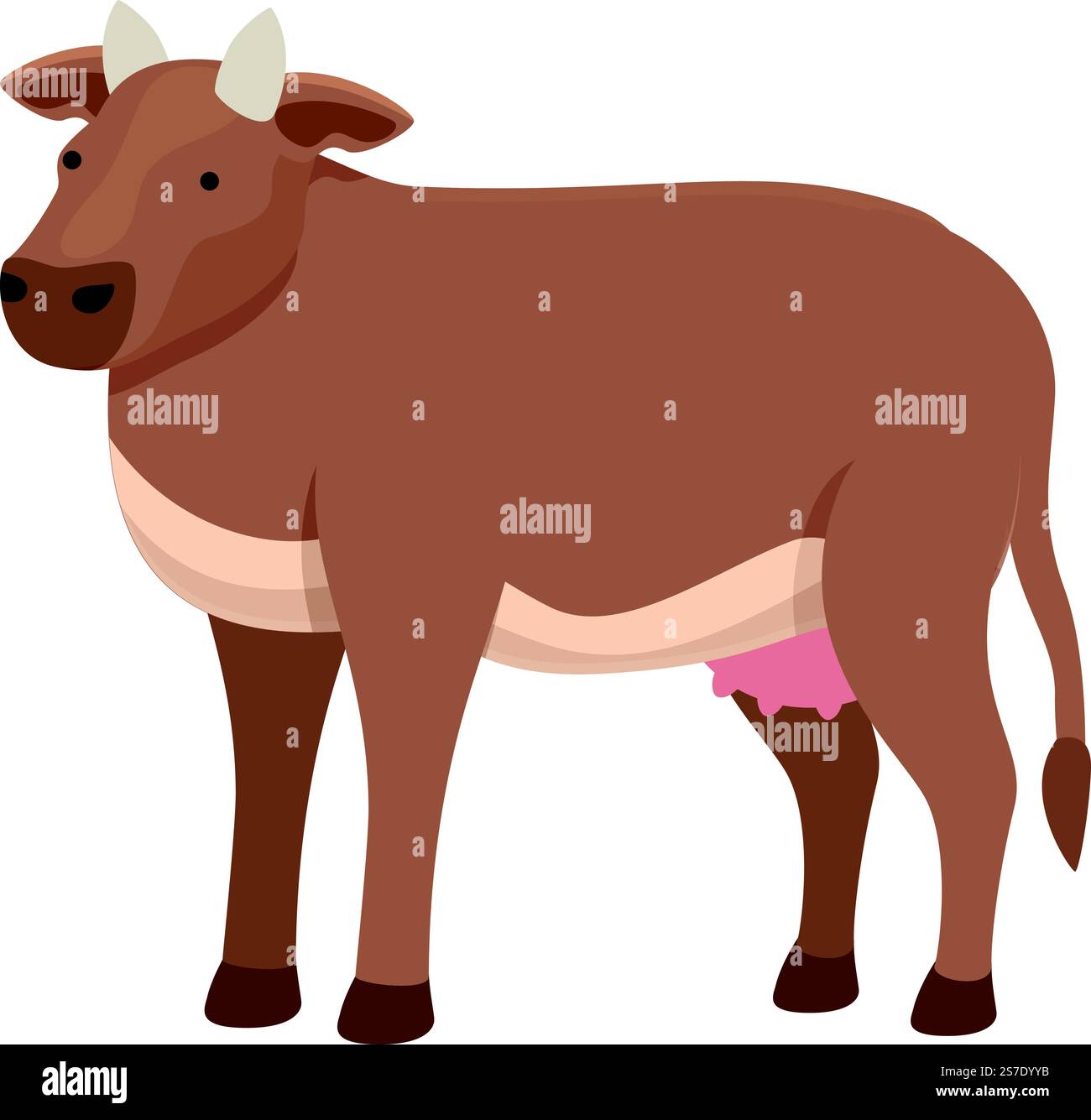 Guernsey bull hi-res stock photography and images - Alamy