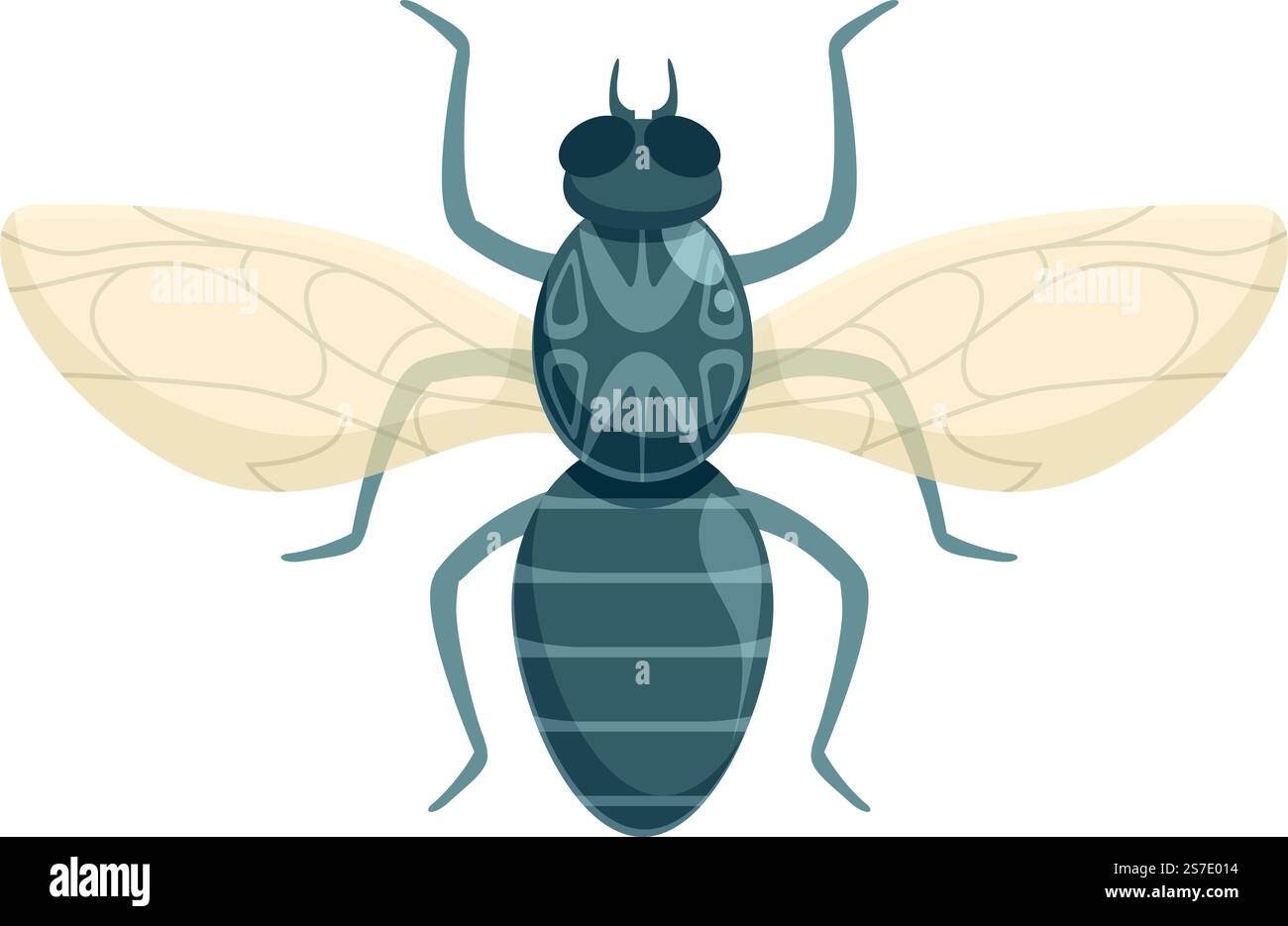 Inhabit tsetse fly icon cartoon vector. Animal mosquito. Tik wings ...