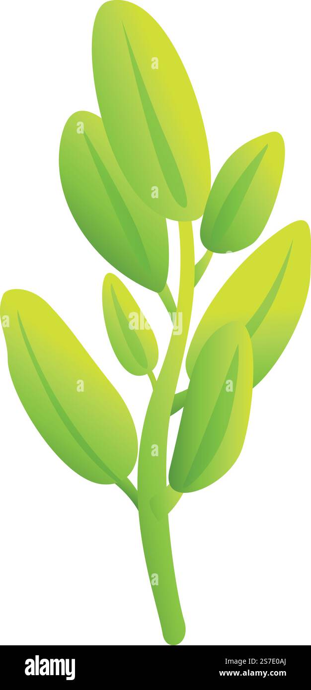 Sage plant icon cartoon vector. Herb leaf. Aromatic green. Sage plant ...