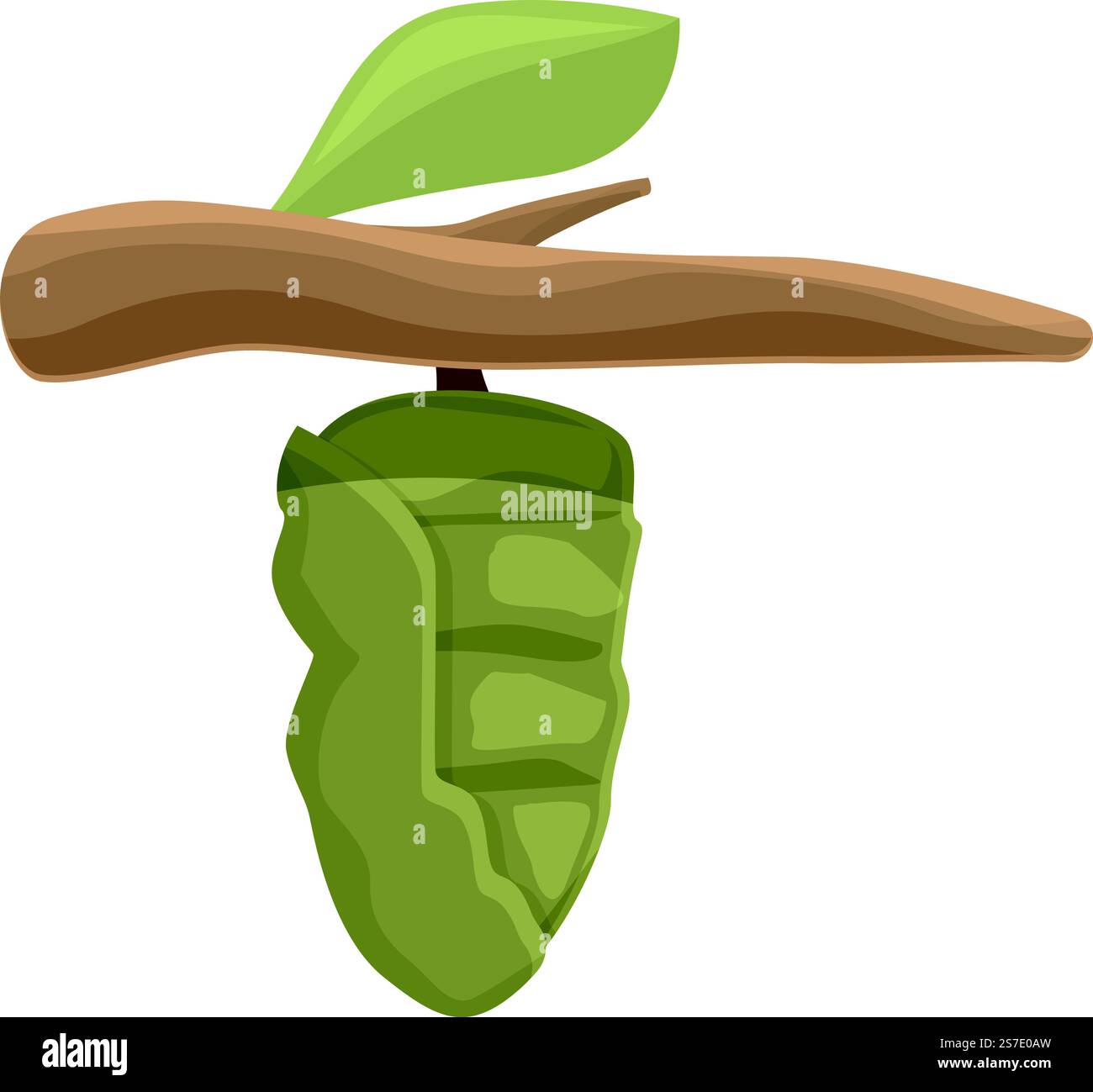 Nature cocoon icon cartoon vector. Natural leaf. Larva life. Nature ...