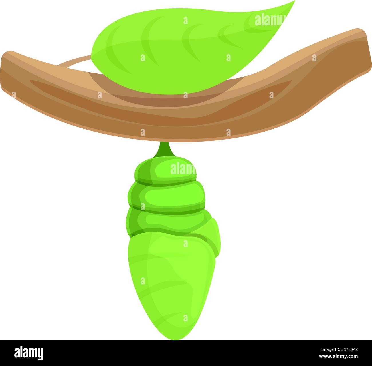 Tree cocoon icon cartoon vector. Natural silk. Leaf life. Tree cocoon ...