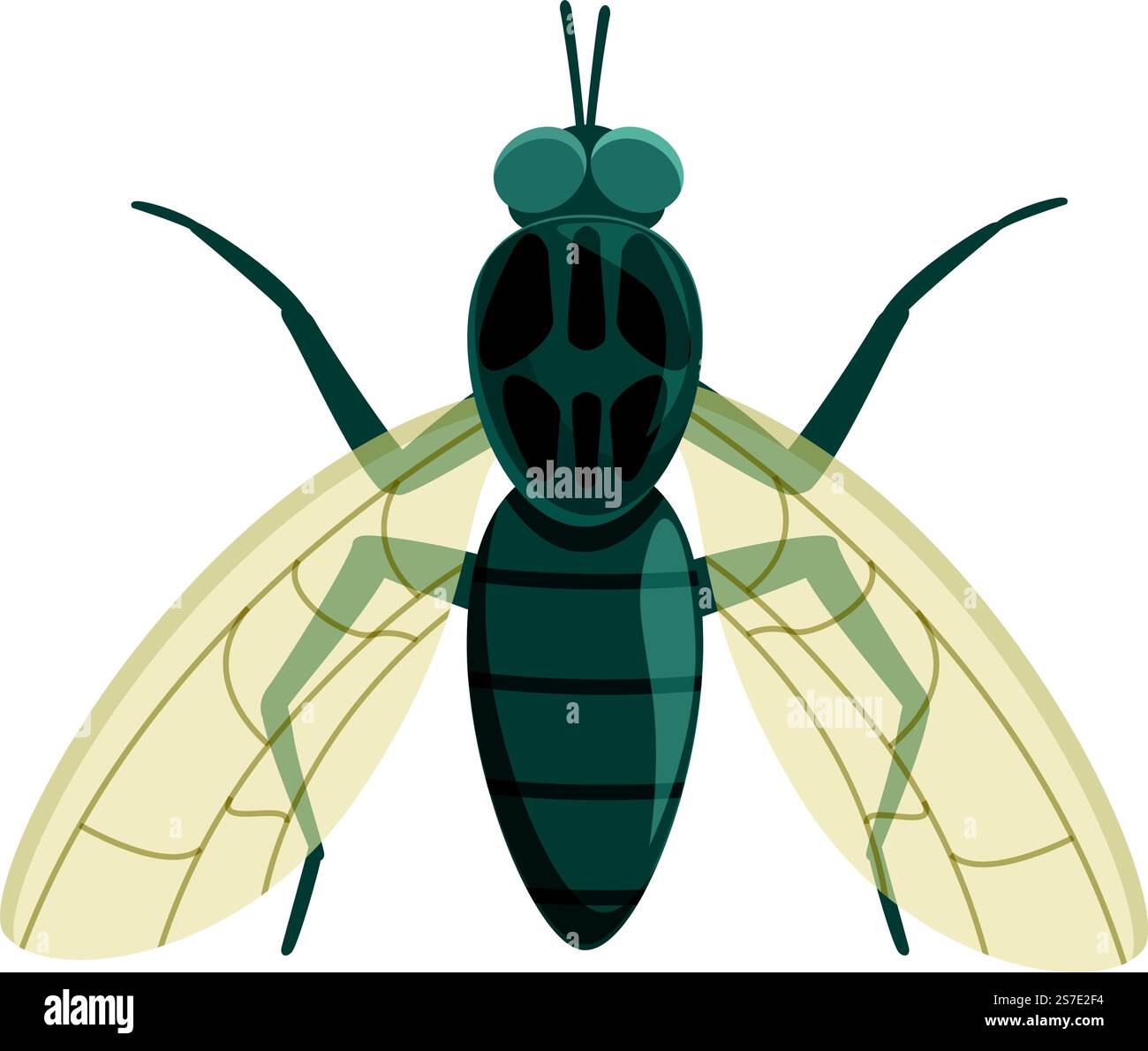 Tsetse fly icon cartoon vector. Africa insect. Animal mosquito. Tsetse ...