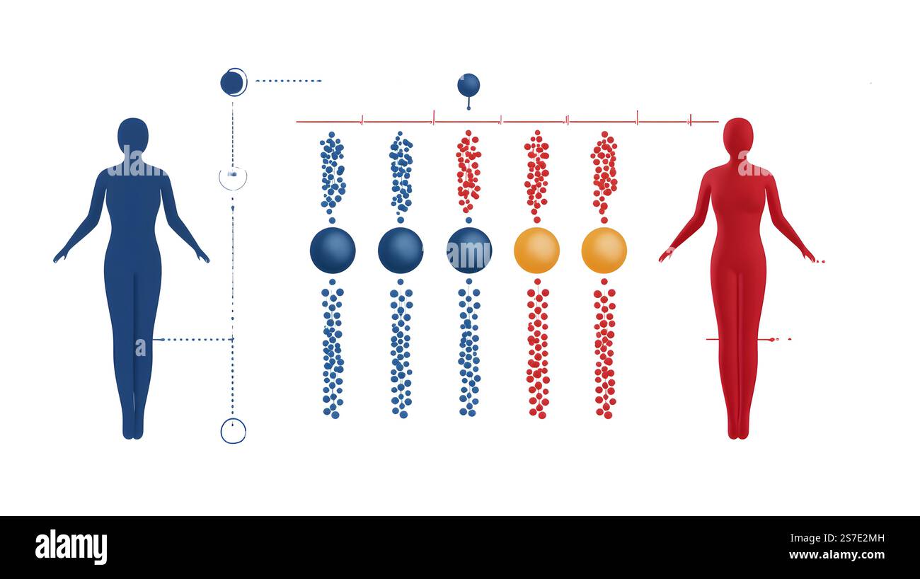 Simplified diagram illustrating the process of peptide synthesis and ...