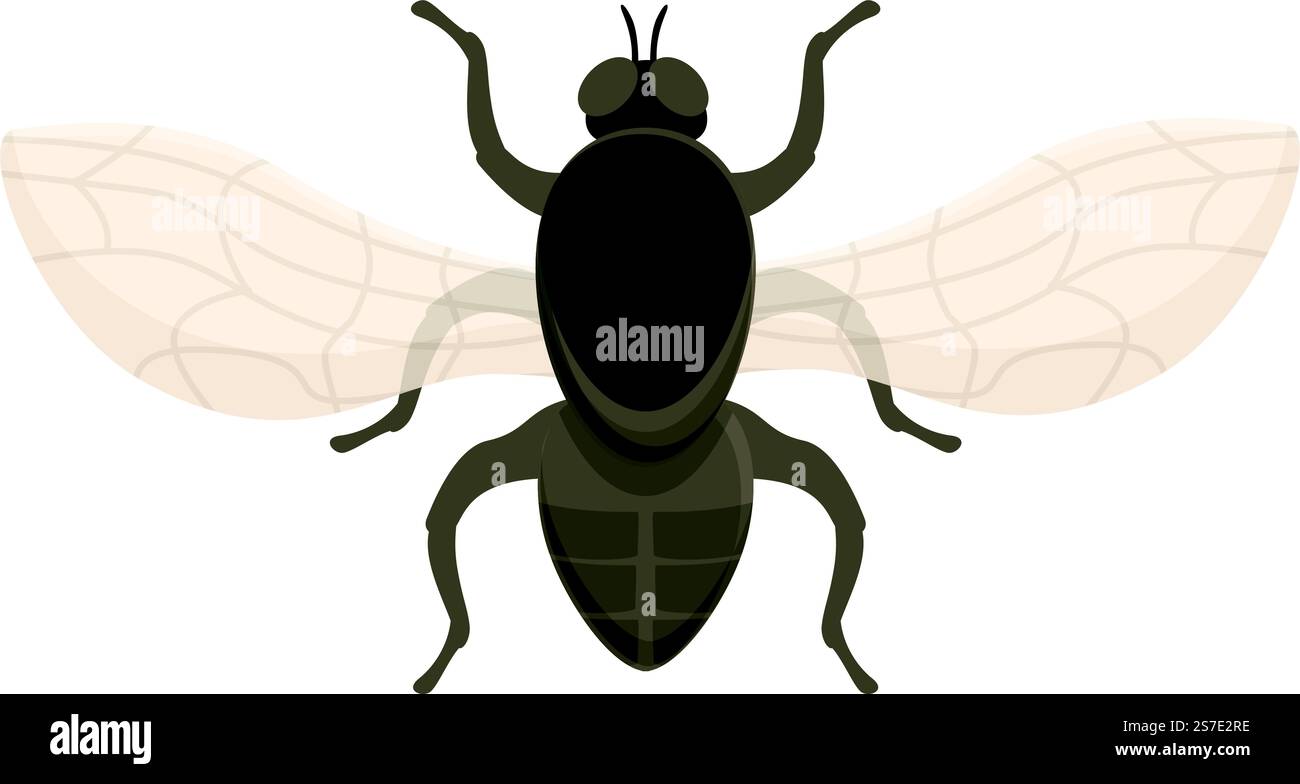Tik tsetse fly icon cartoon vector. Africa insect. Animal etching. Tik ...