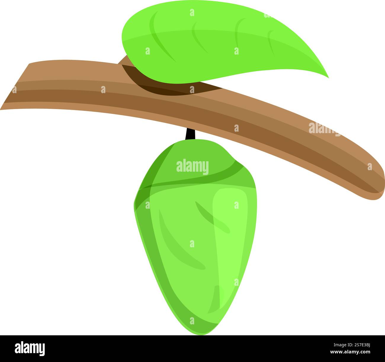 Green tree cocoon icon cartoon vector. Nature life. Pupa thread. Green ...