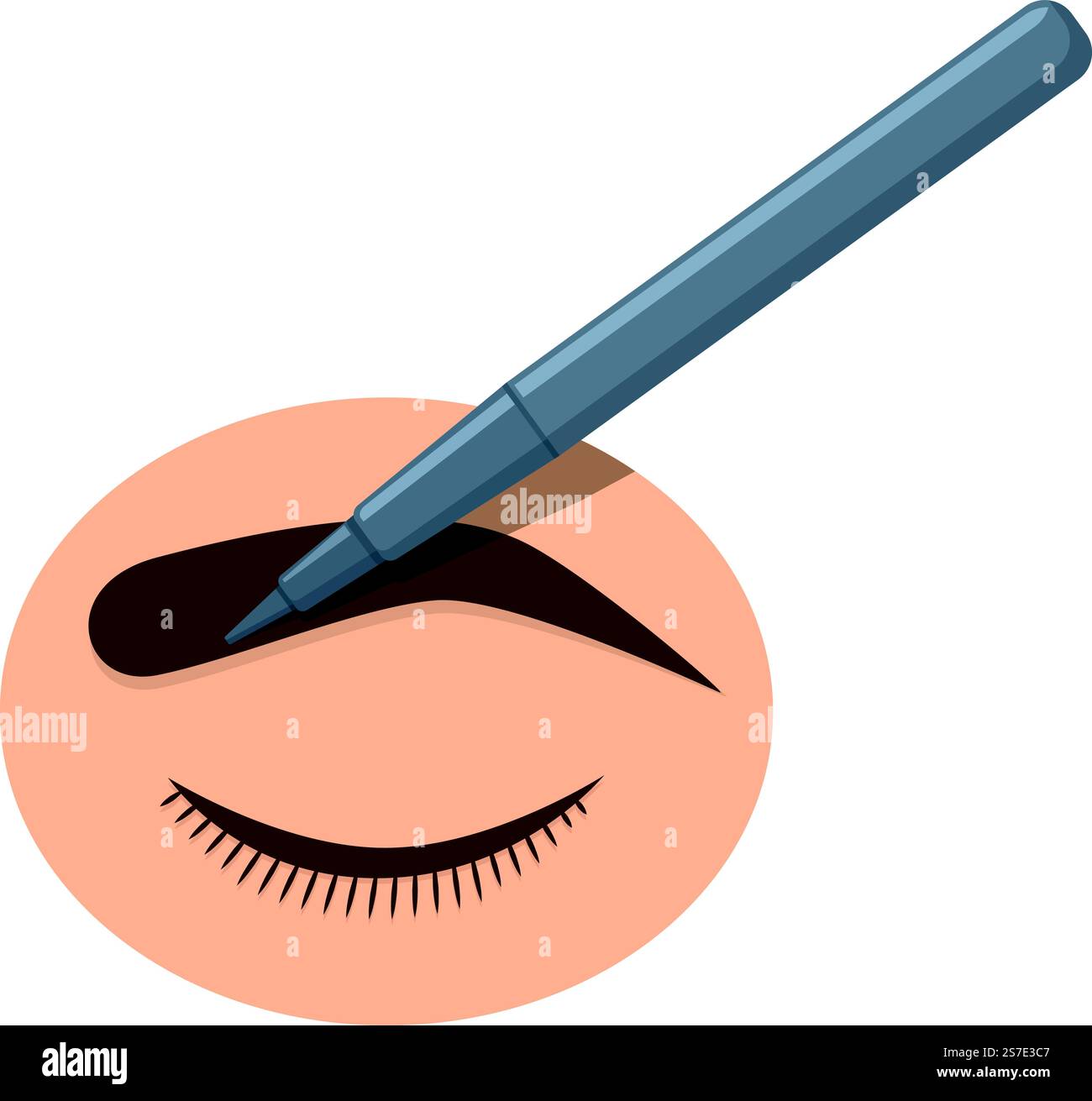 Model brow icon cartoon vector. Tattoo makeup. Face brush. Model brow ...