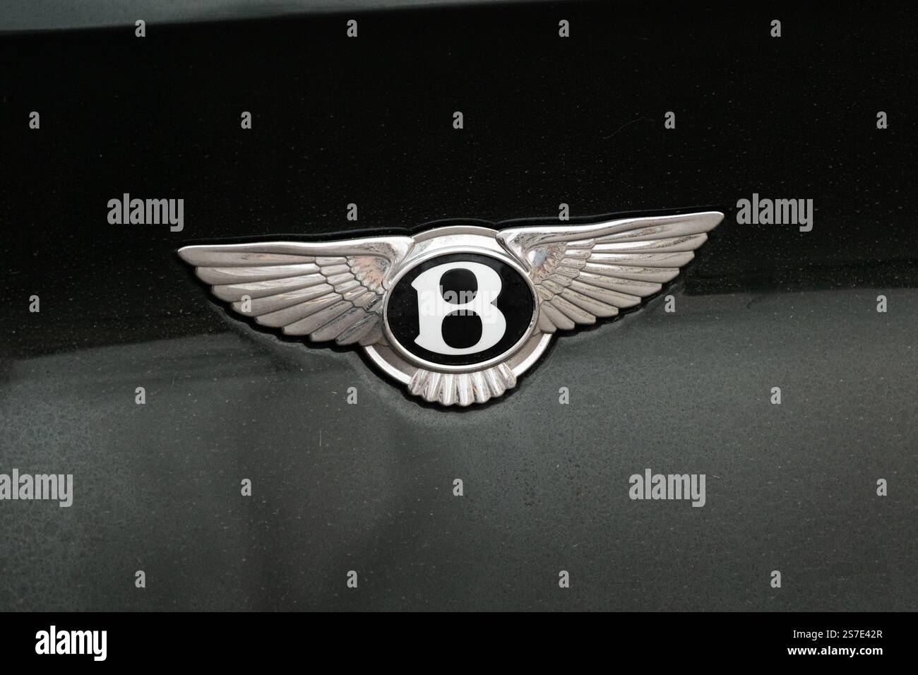 Bentley logo sign of the British luxury car designer and manufacturer ...