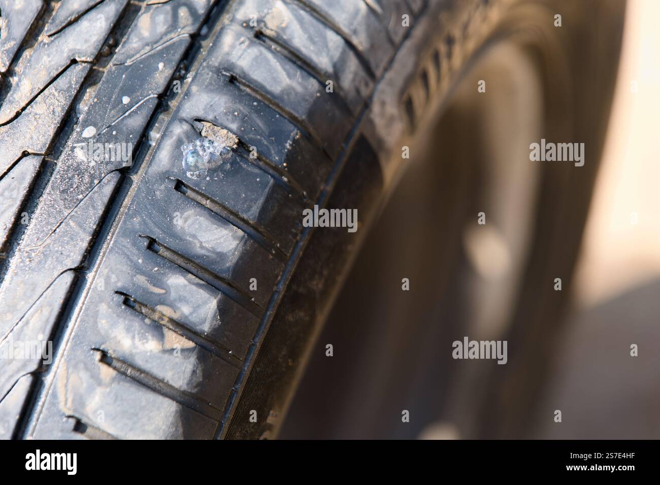 The tire's tread patterns are clearly visible, and it appears to be wet ...