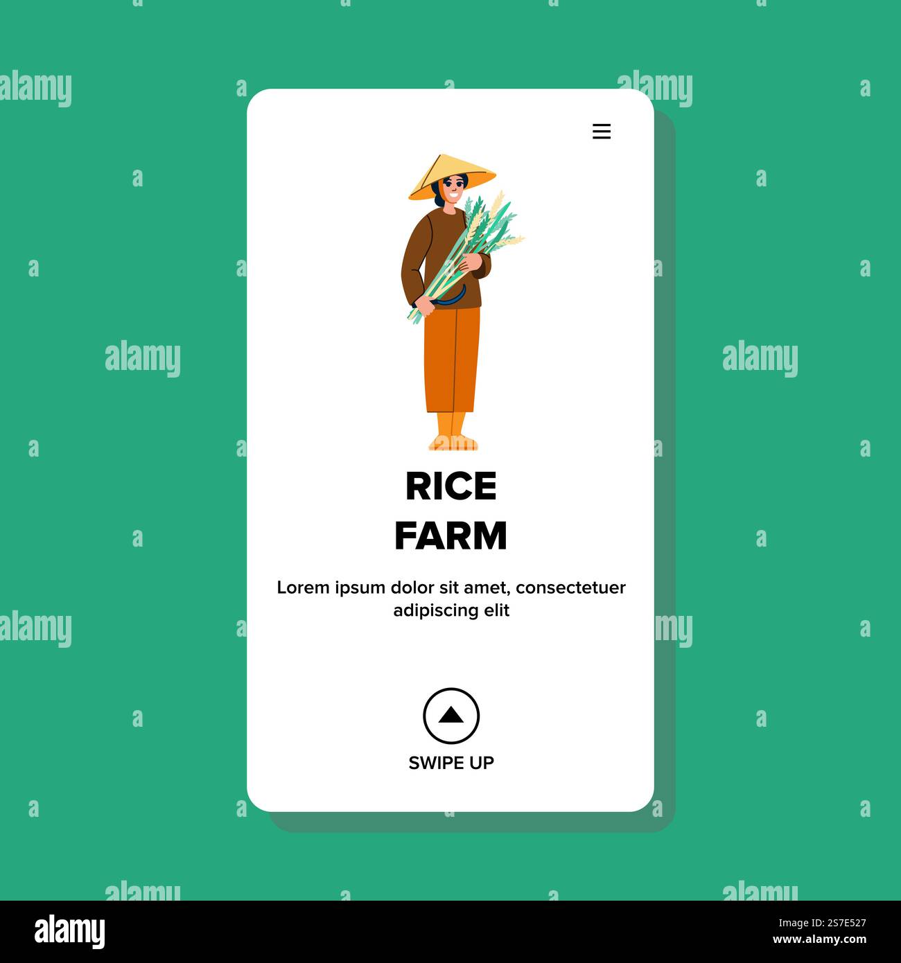 rice farm vector. plant field, agriculture nature, grain food, green paddy, landscape rice farm ...