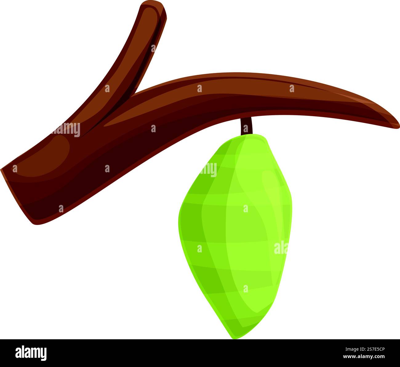 Butterfly larva icon cartoon vector. Natural cocoon. Life leaf ...