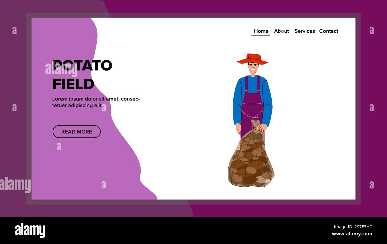 potato field vector. agriculture nature, rural crop, vegetable food ...