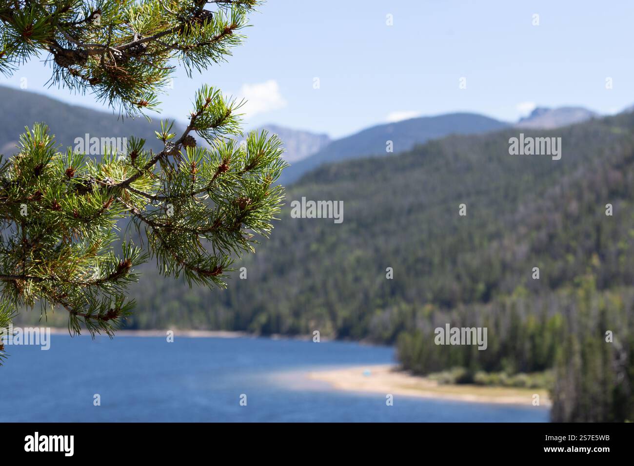 Shadow Mountain Lake Shoreline Colorado Stock Photo - Alamy