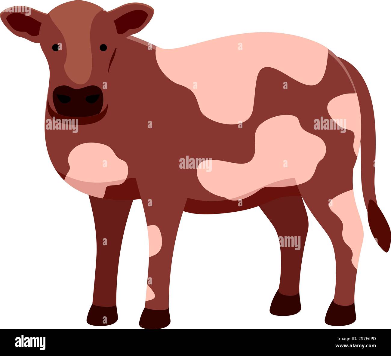 Guernsey bull hi-res stock photography and images - Alamy