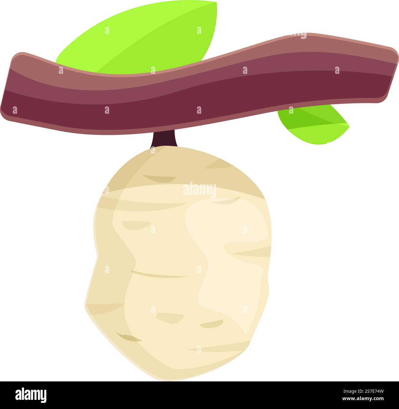 White cocoon icon cartoon vector. Nature larva. Life insect. White ...