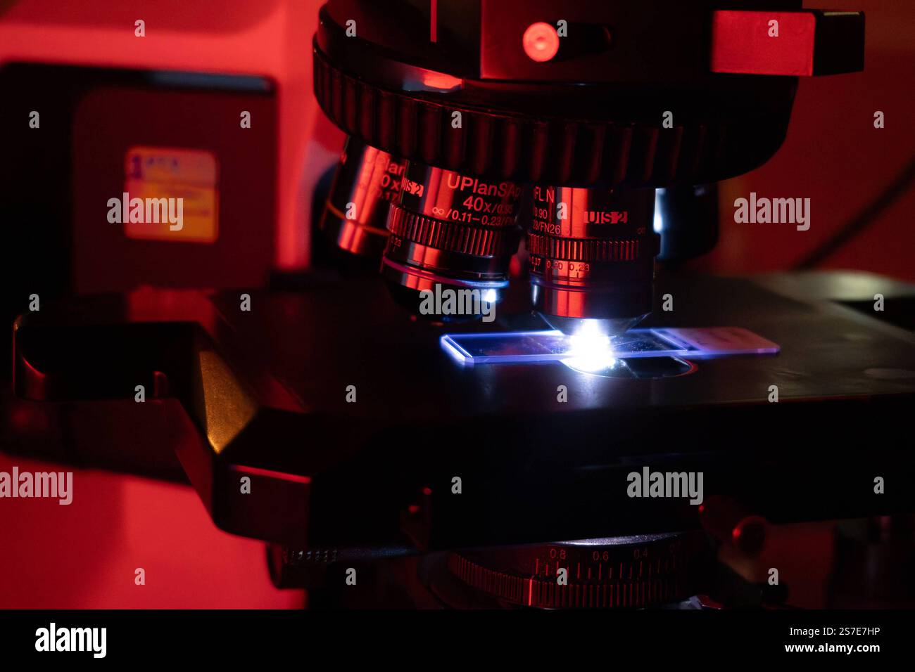 Mikroskop - Wissenschaft Mikroskop mit Objektivrevolver und Kreuztisch ...