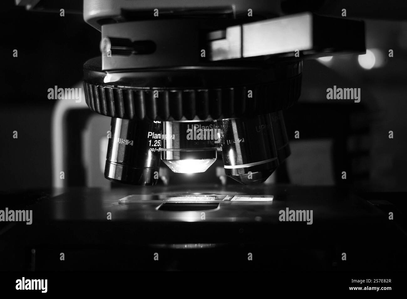 Mikroskop - Wissenschaft Mikroskop mit Objektivrevolver und Kreuztisch ...