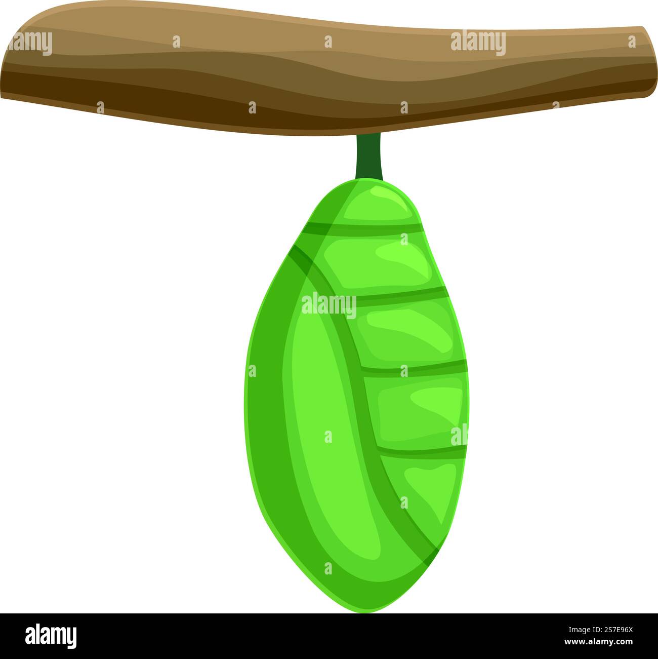 Branch cocoon icon cartoon vector. Natural leaf. Larva insect. Branch ...