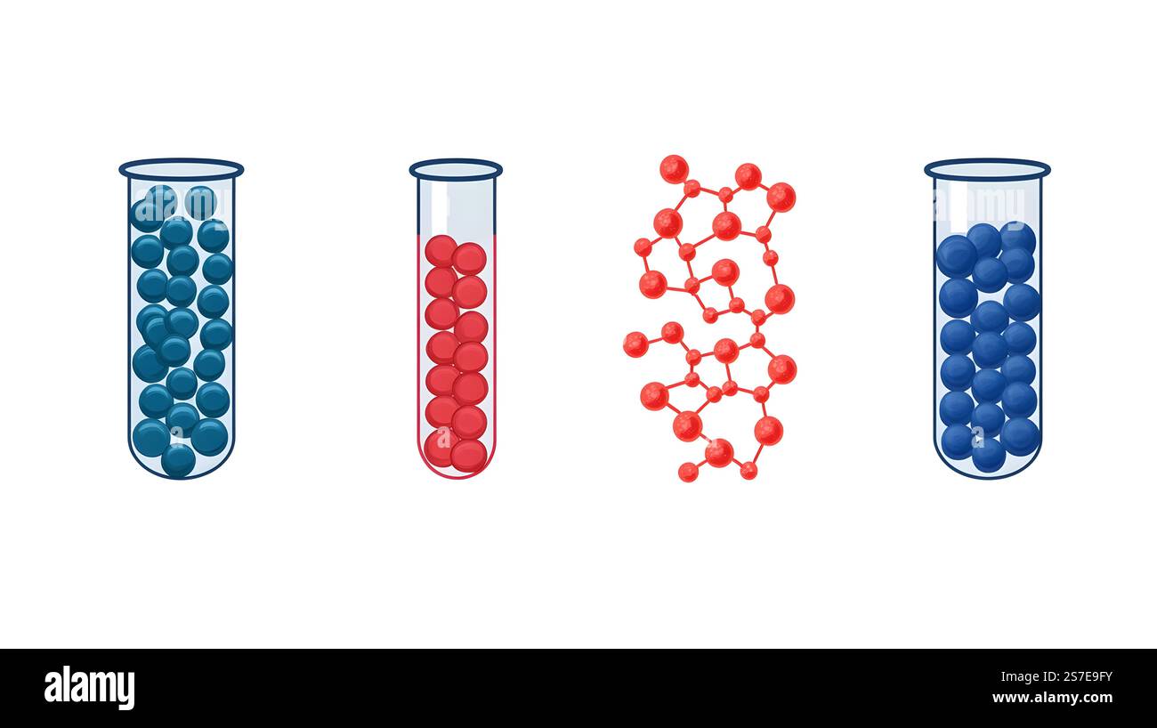 Informative infographic showcasing the distinct roles and functions of ...