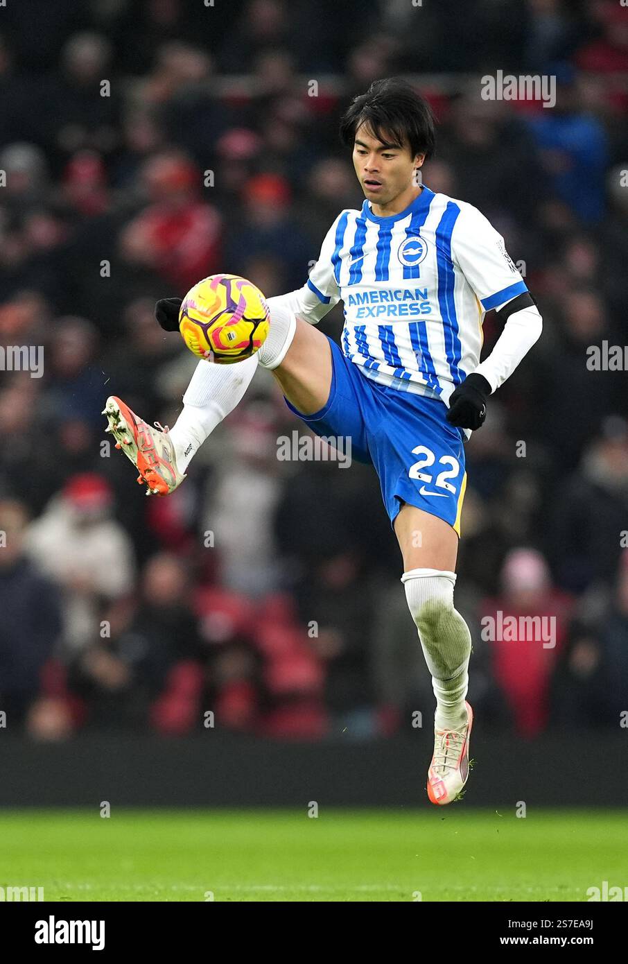 Brighton and Hove Albion's Kaoru Mitoma in action during the Premier ...