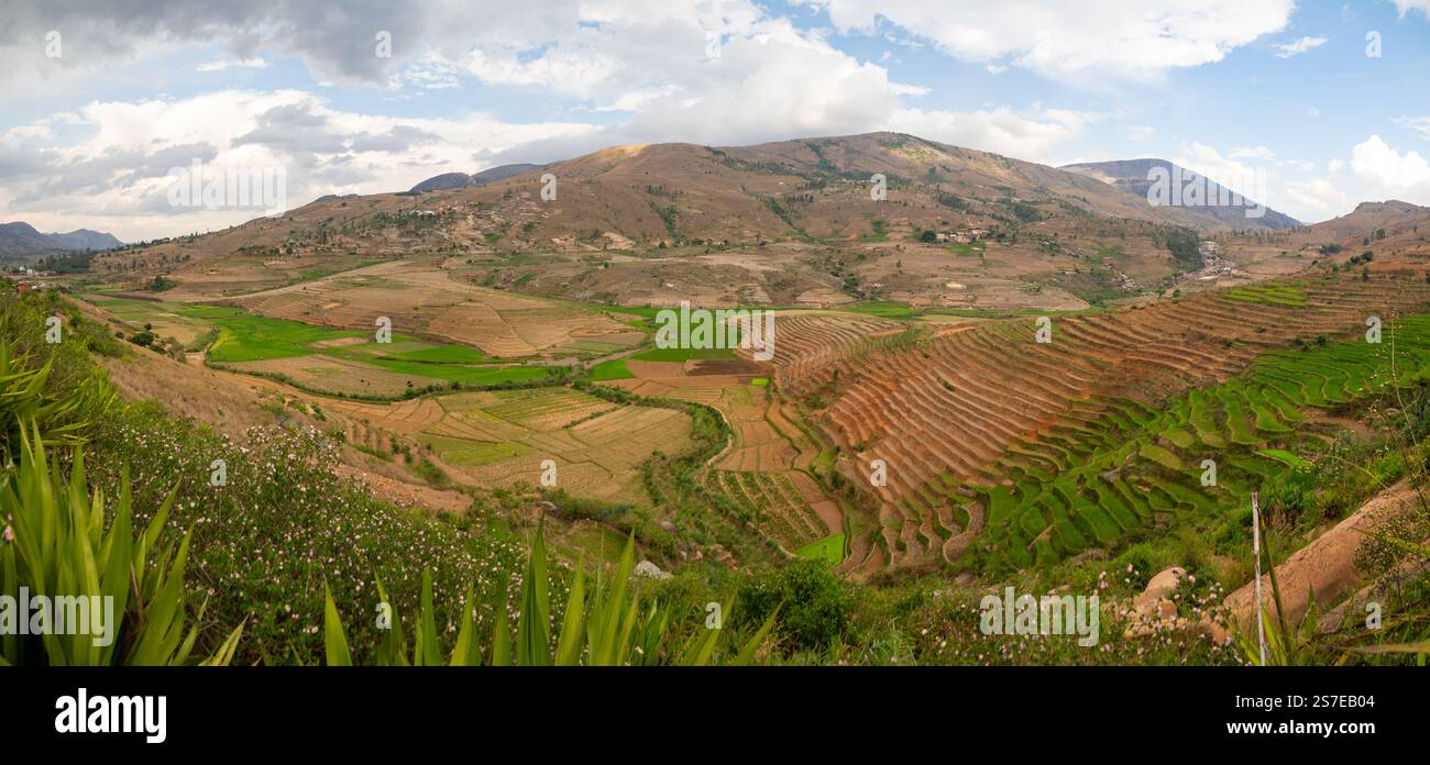 Landscapes of the island of Madagascar, Central Highlands and rice ...