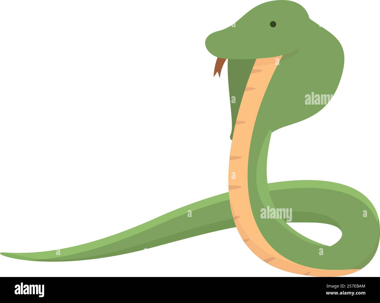 Indian cobra teeth Stock Vector Images - Alamy