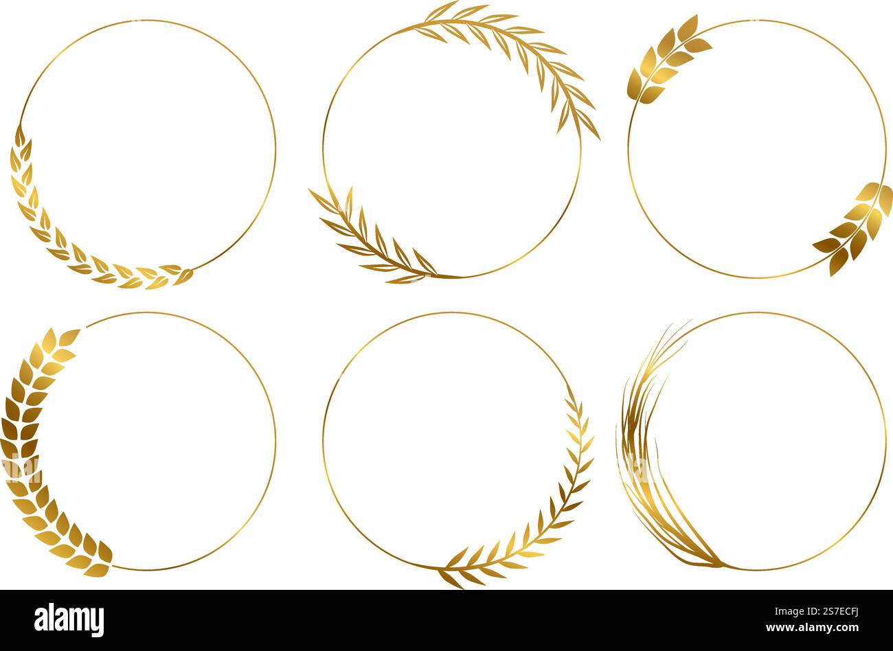 Laurel leaf golden frames. Isolated wreath with branches, gold ...