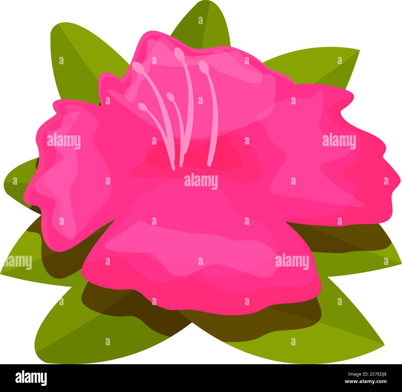 Colorful rhododendron icon cartoon vector. Flower plant. Botany spring ...
