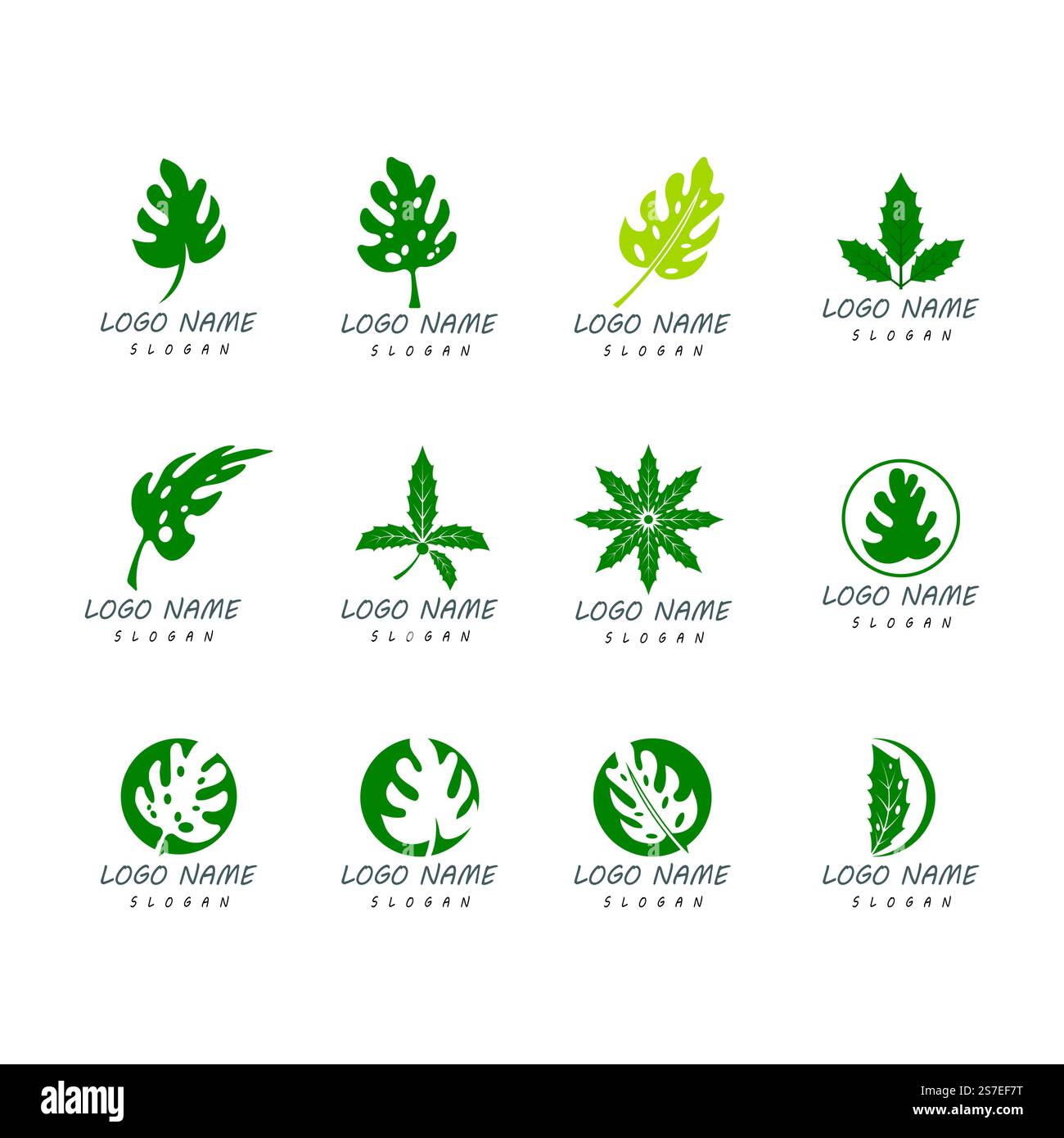 Monstera leaf logo vector design Stock Vector Image & Art - Alamy