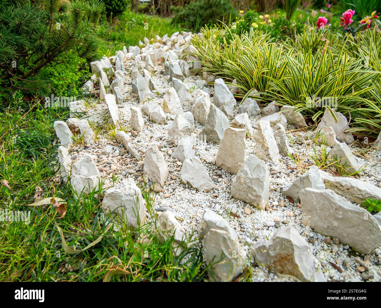 Decorative garden path with vertically placed sharp white stones Stock ...